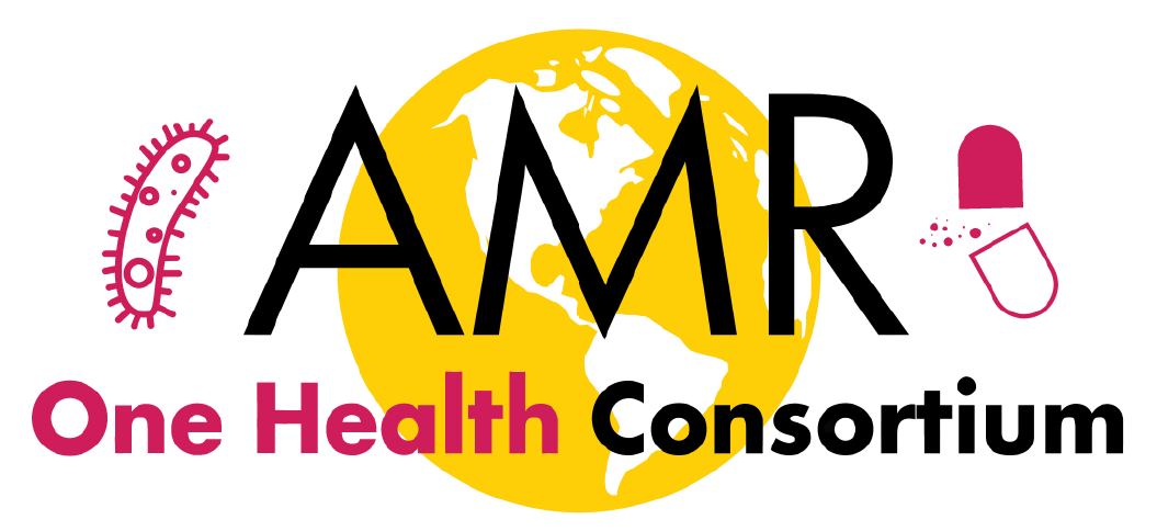 Pillar 4: Treatment Optimization - Antimicrobial Resistance Opportunity ...