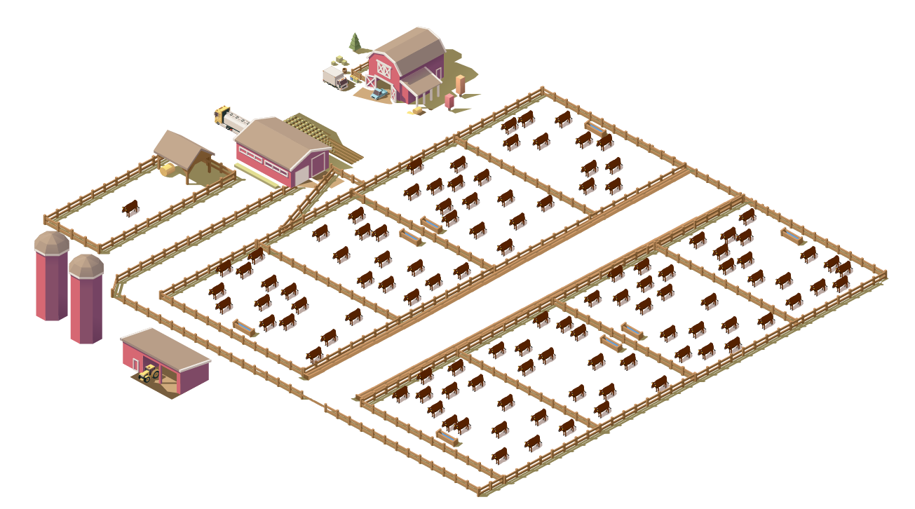 Beef Cattle System - Antimicrobial Resistance Opportunity Mapping