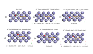 Modeling – geno-MIC