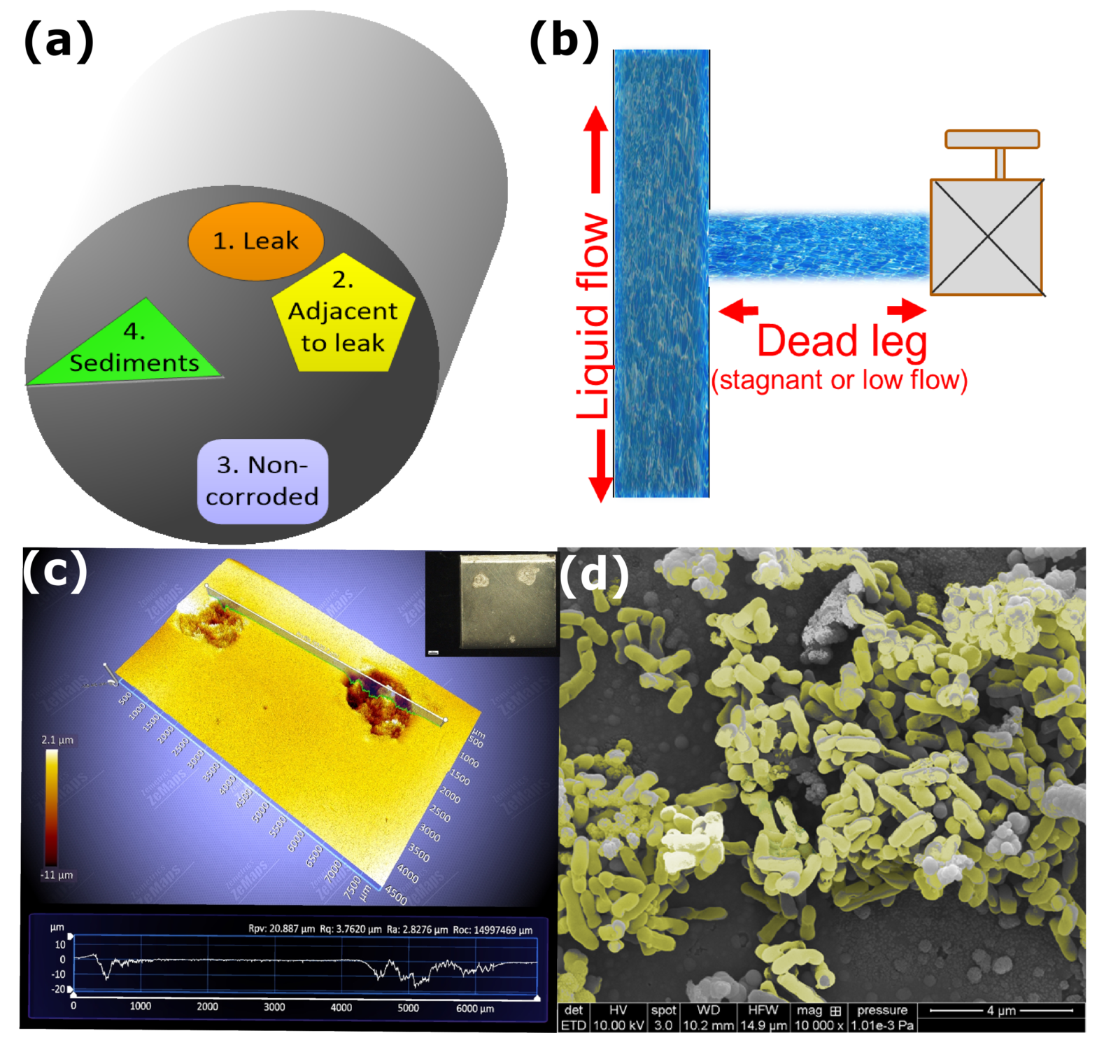 Knowledge – geno-MIC